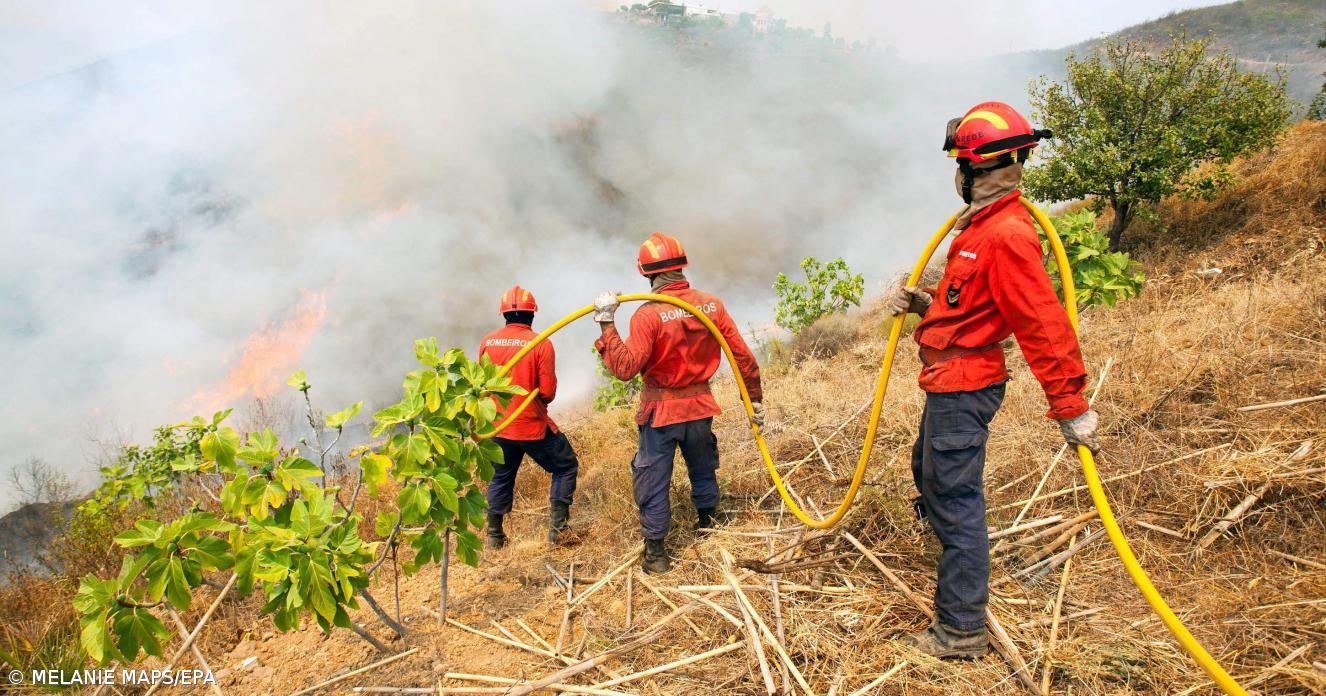 14 fogos ativos em Portugal continental, cinco com dimensão ...