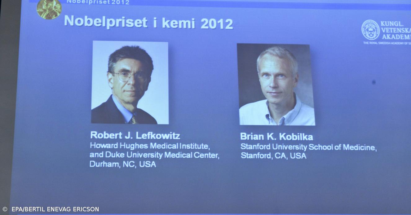 Nobel da Química distingue Robert J. Lefkowitz e Brian K. Kobilka ...