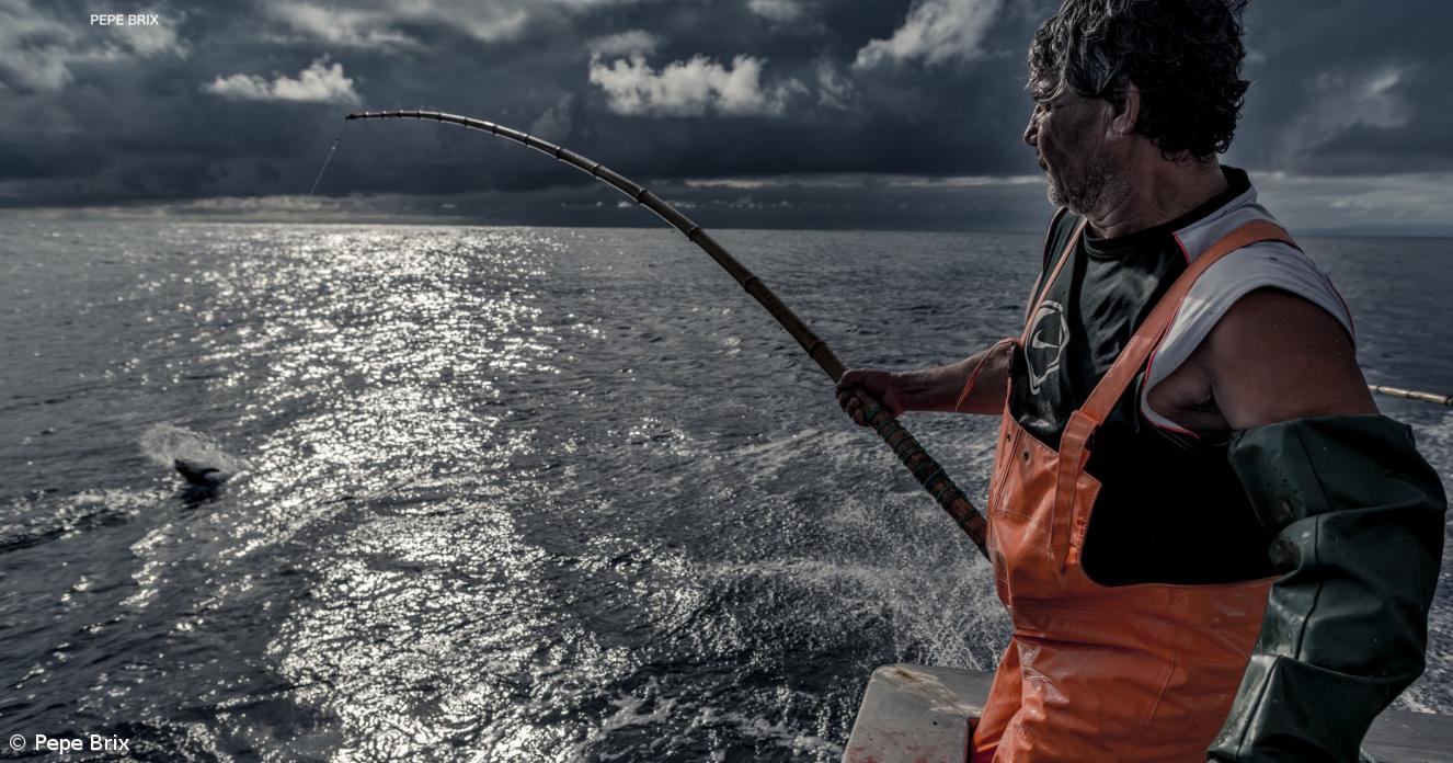 Exposição sobre a pesca do atum nos Açores de Pepe Brix chega a Alcácer ...