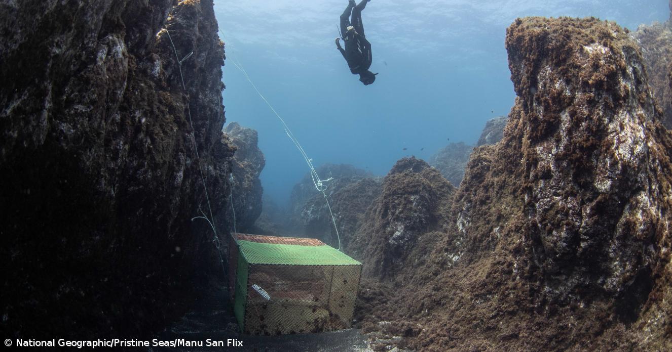 "Blue Azores" vai aumentar área marinha protegida nos Açores - Açoriano ...