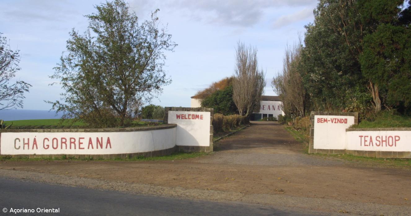 Fábrica de Chá da Gorreana - Açoriano Oriental