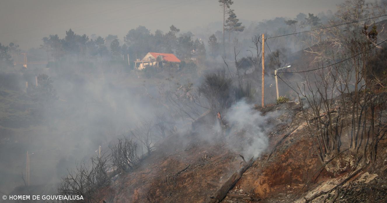 Fogo na Madeira ativo há 48 horas - Açoriano Oriental