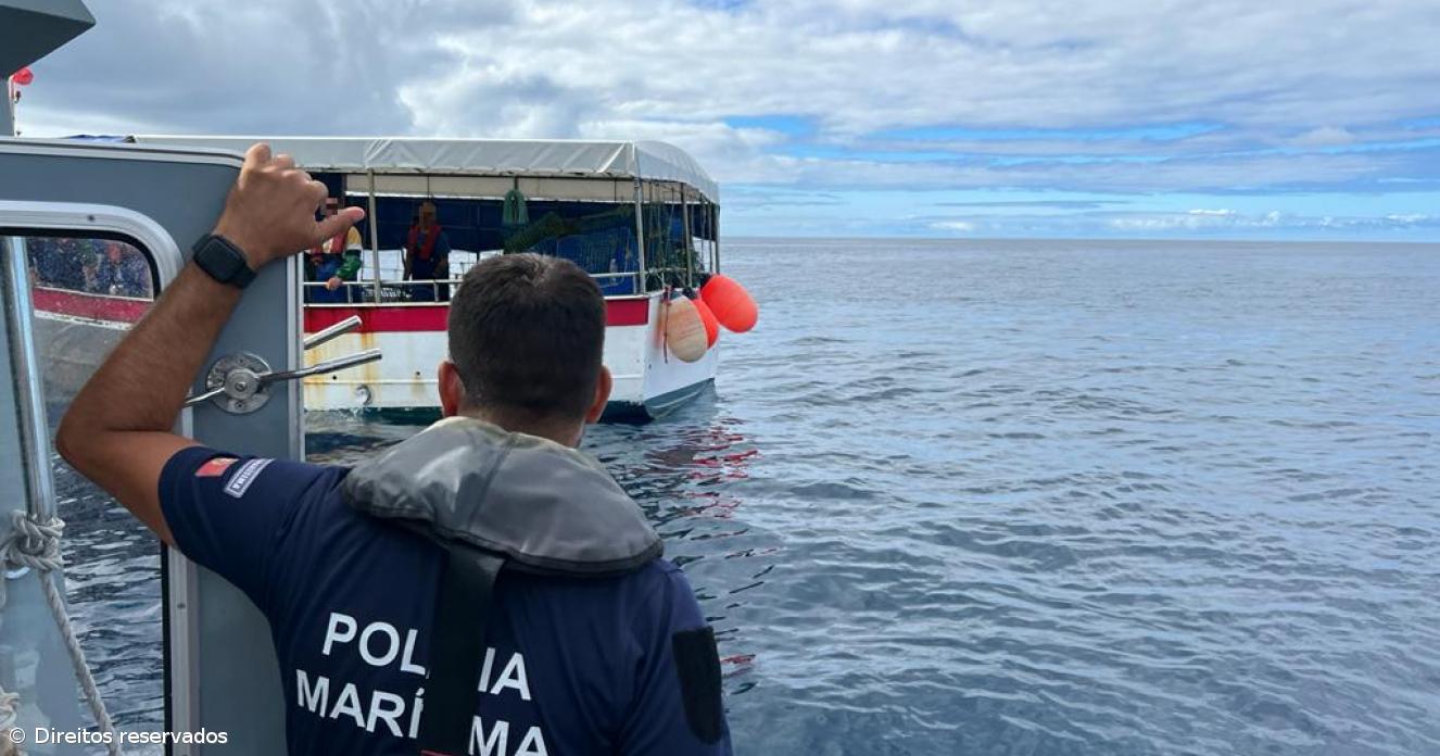 Polícia Marítima apreende cerca de 382 quilos de pescado em Ponta ...